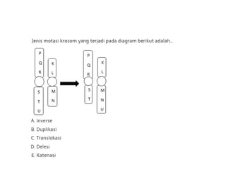 Mutasi Berdasarkan Tempat Terjadinya MUTASI Gen dan Kromosom | PPTX