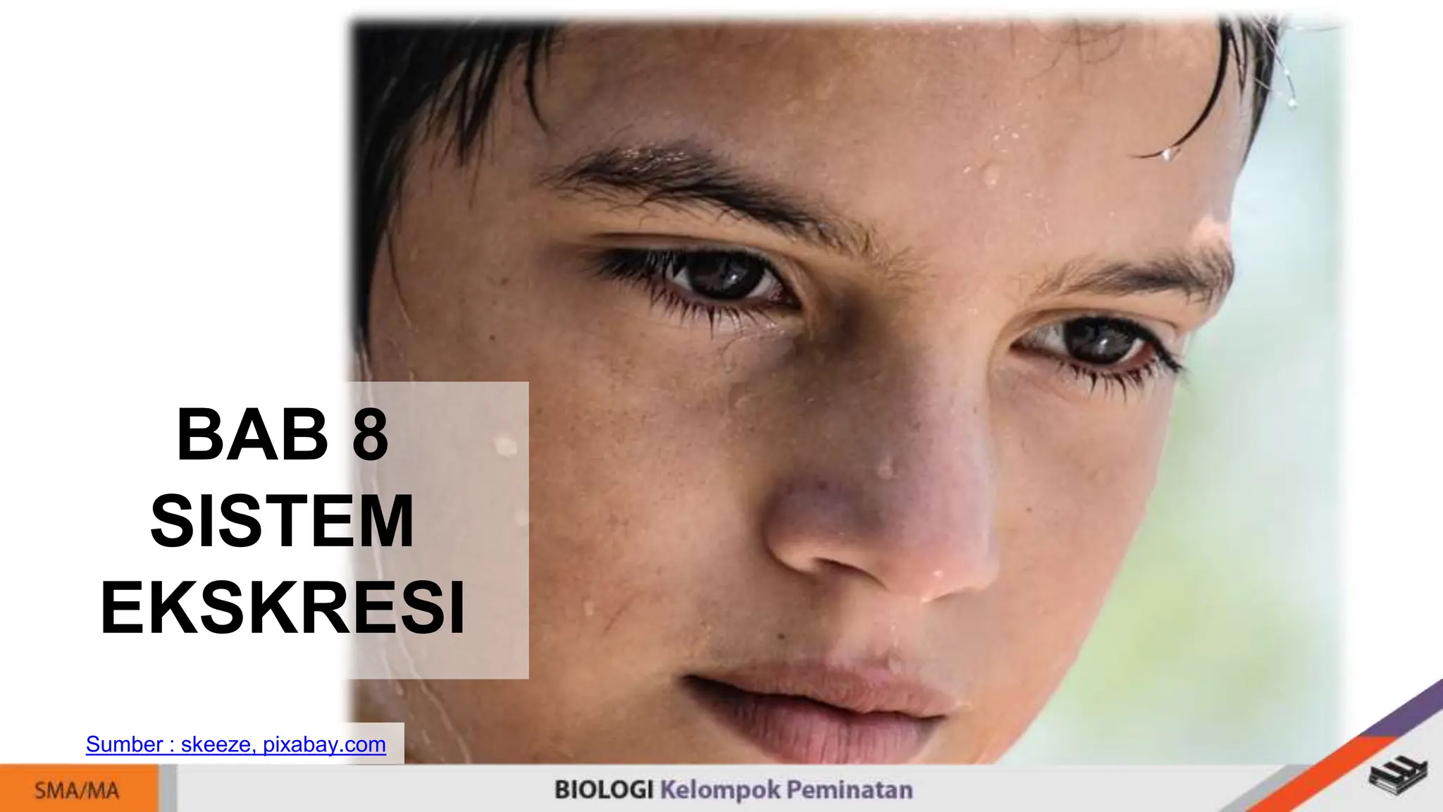 BIOLOGI SMA BAB 8 - SISTEM EKSKRESI - NEW-std.pptx