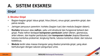 BIOLOGI SMA BAB 8 - SISTEM EKSKRESI - NEW-std.pptx