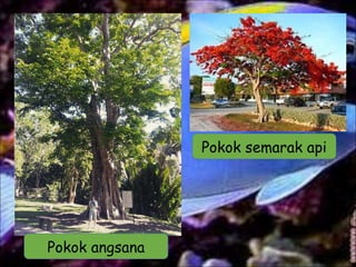 Bab8 sokongan&pergerakan | PPT