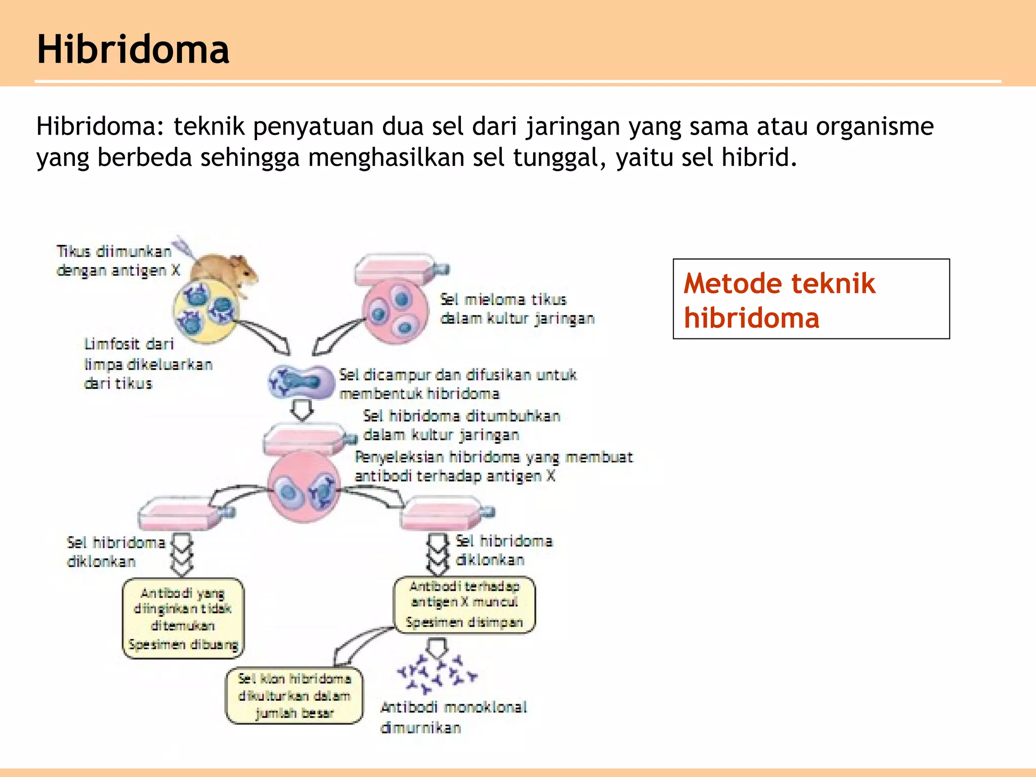 Bab 8 bioteknologi kelas XII SMA IPA | PPT