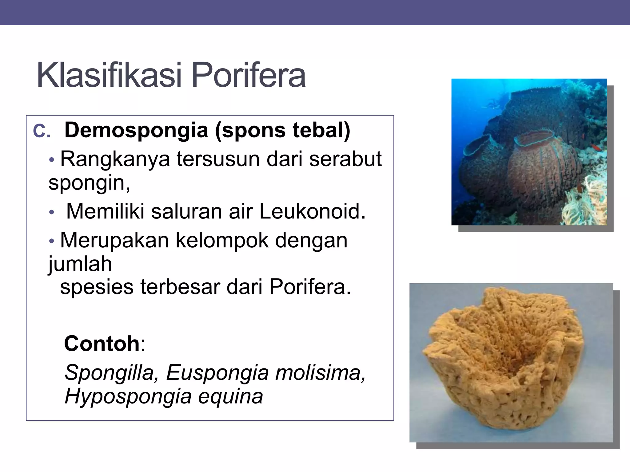 DUNIA HEWAN (ANIMALIA).ppt
