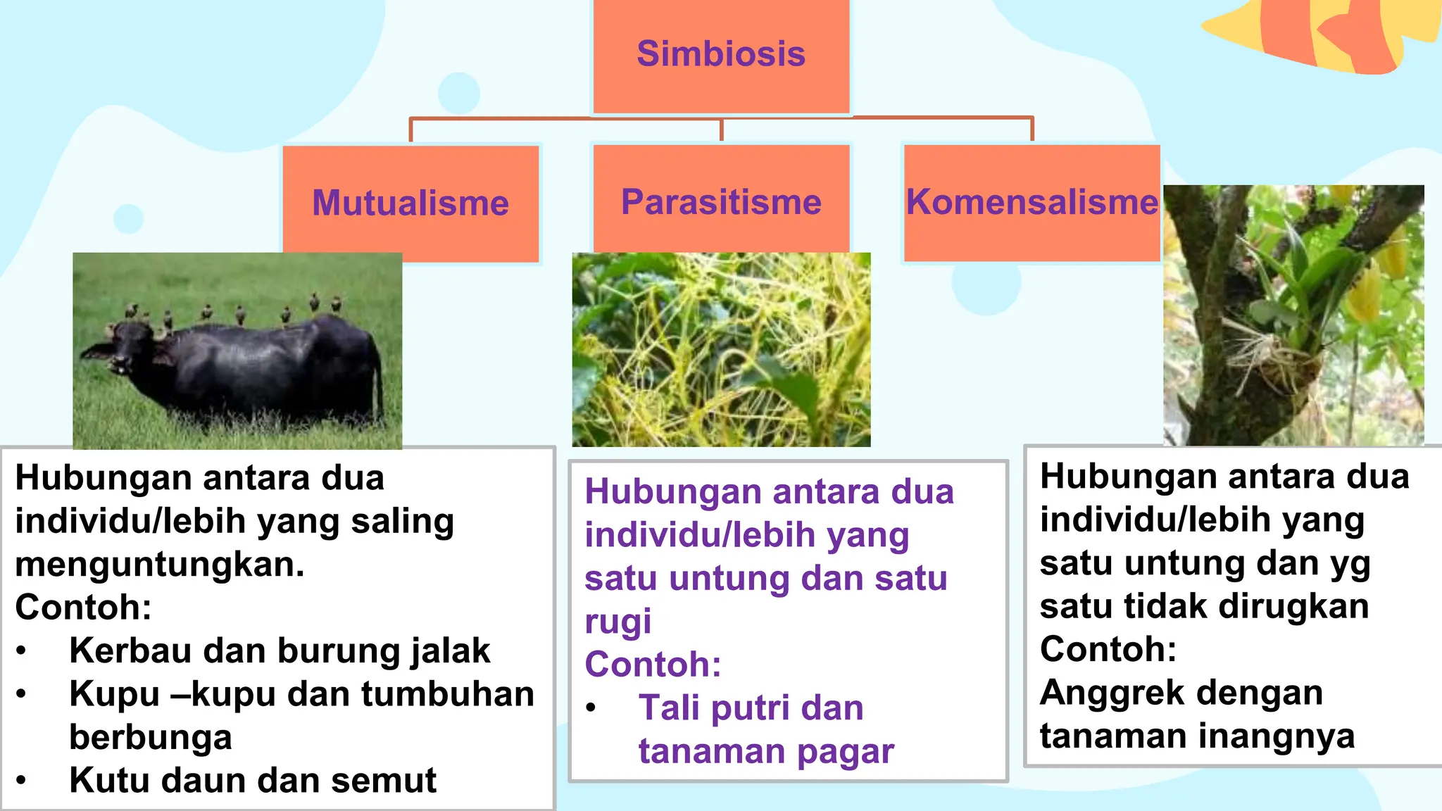 BAB 8 INTERAKSI MAKHLUK HIDUP KELAS 7 SMP.pptx