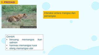 BAB 8 INTERAKSI MAKHLUK HIDUP KELAS 7 SMP.pptx