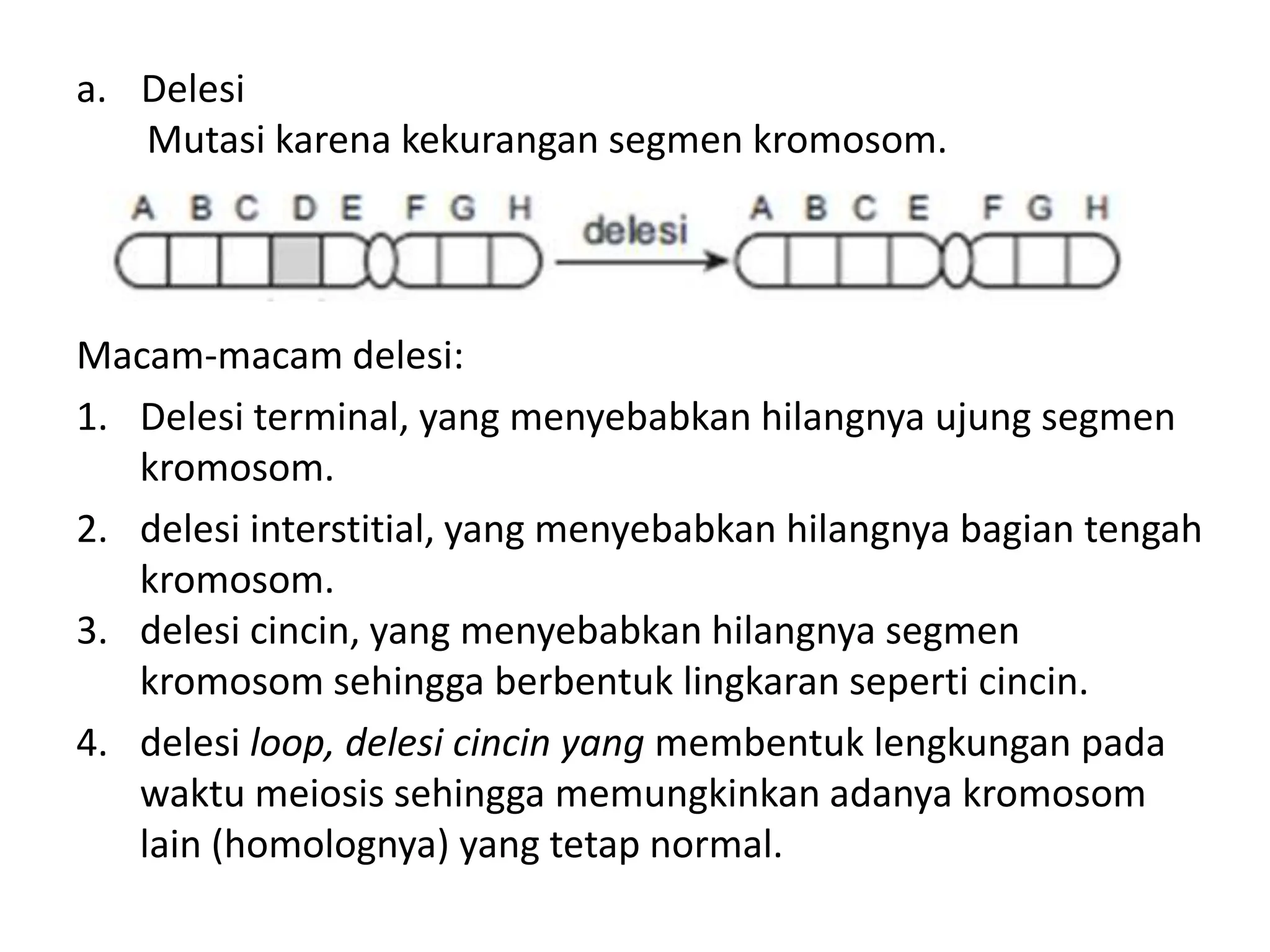 materi tentang mutasi untuk pelajaran kelas 12 | PPTX