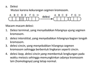 materi tentang mutasi untuk pelajaran kelas 12 | PPTX