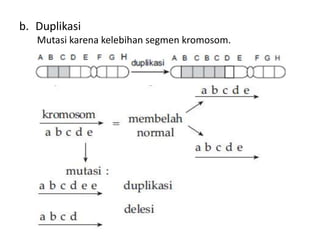 materi tentang mutasi untuk pelajaran kelas 12 | PPTX