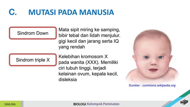 BAB 8 Mutasi 12 MIPA.pdf