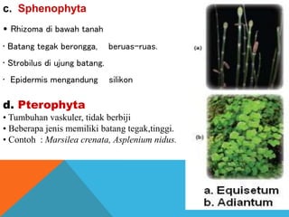 BAB 8 Plantae.ppt