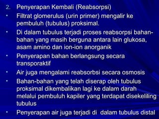 sistem ekskresi | PPT