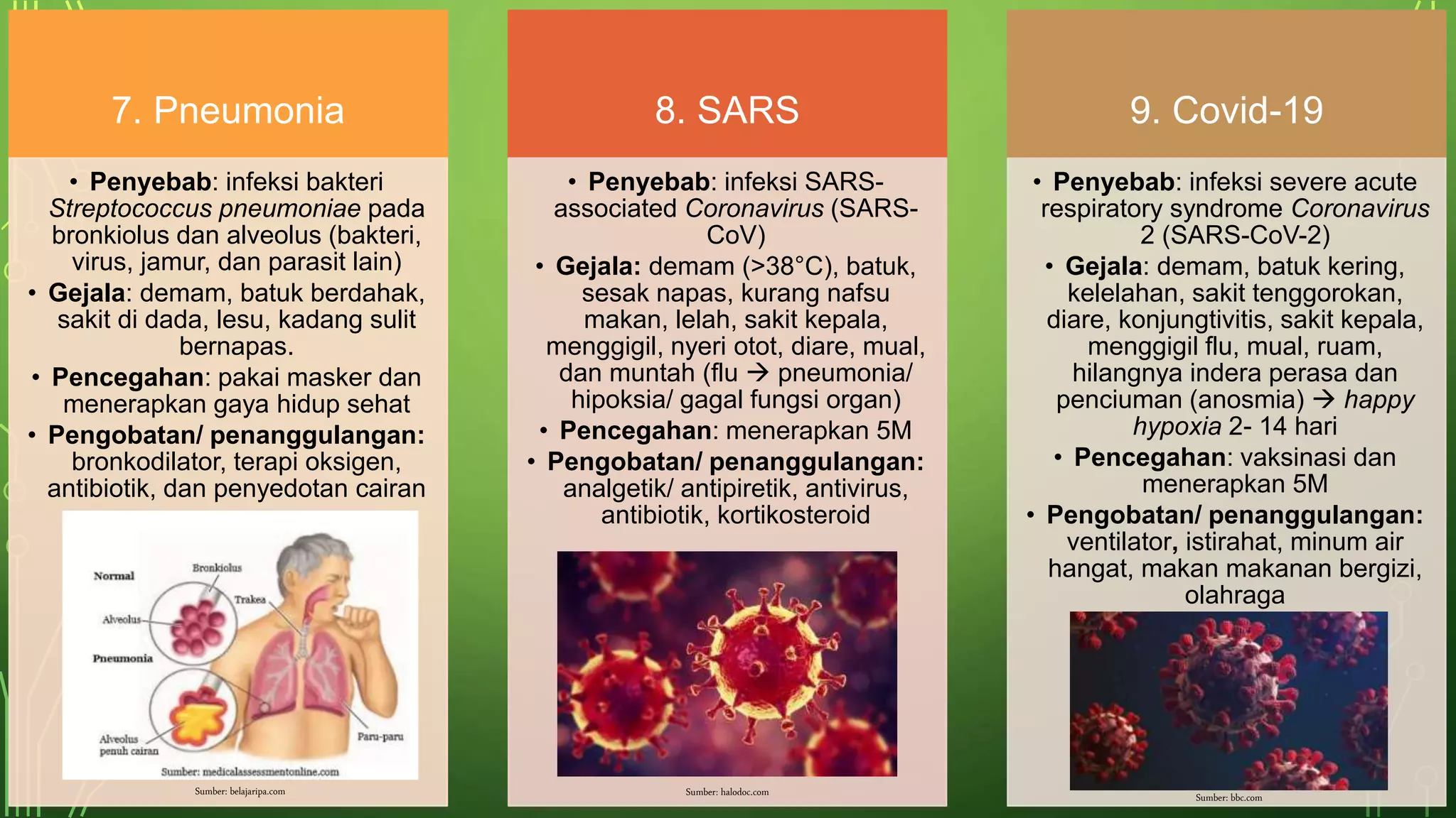 Bab 8 sistem pernapasan manusia | PPSX