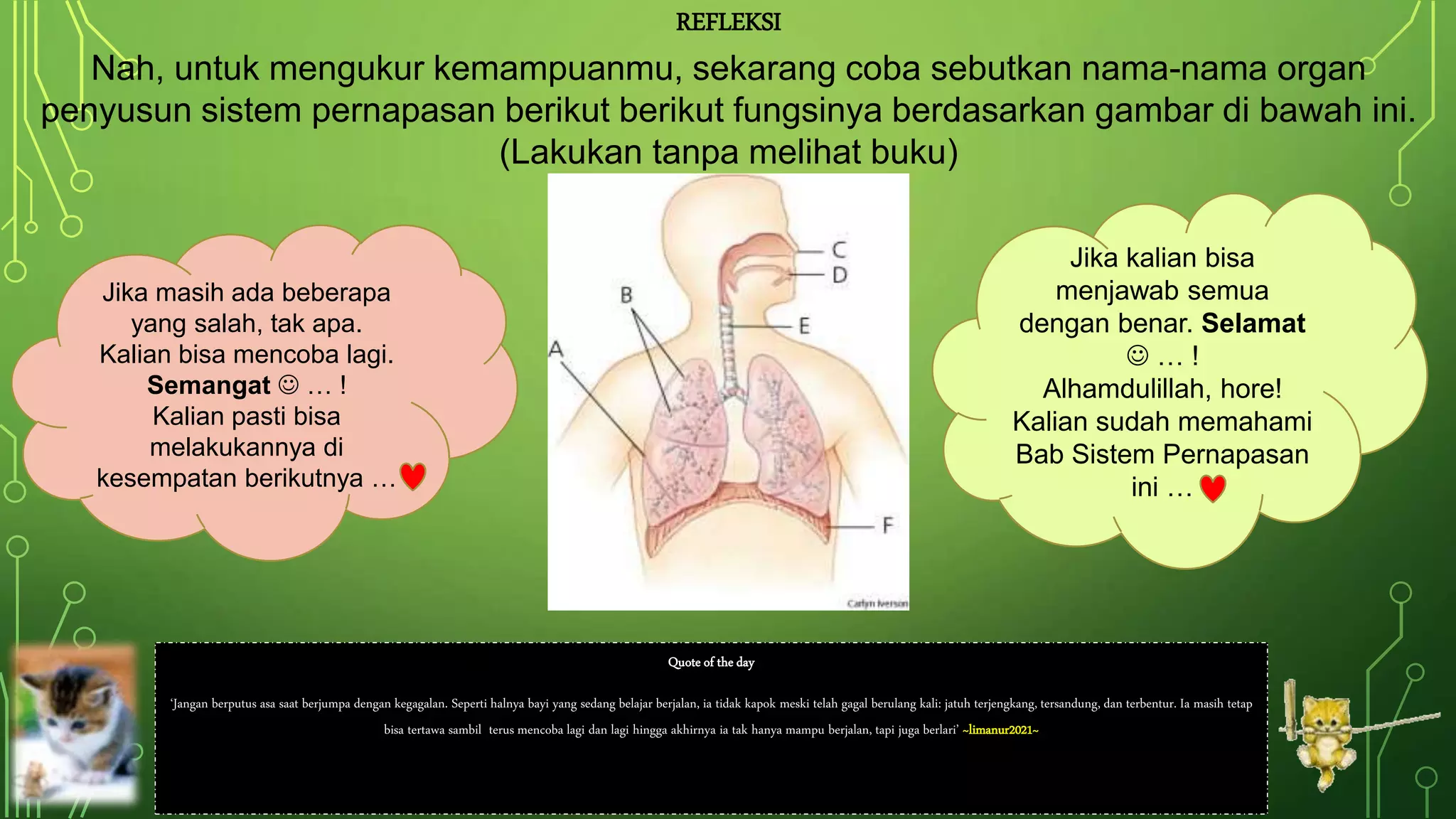 Bab 8 sistem pernapasan manusia | PPT