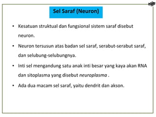 Bab 8 Sistem Regulasi Manusia.pptx