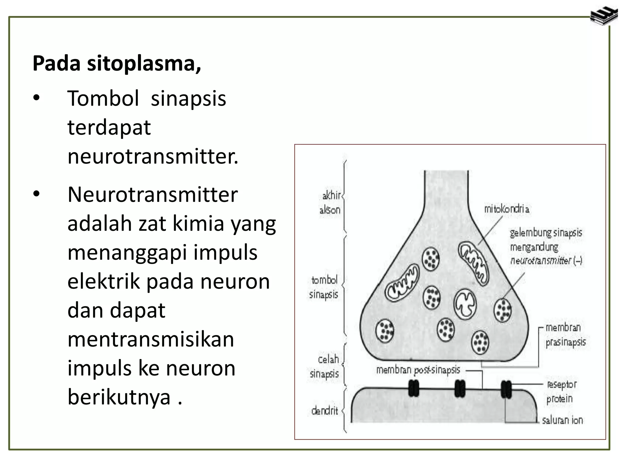 Bab 8 Sistem Regulasi Manusia.pptx