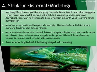 Bab 9. Reptil | PPTX