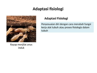 ADAPTASI MAKHLUK HIDUP MATA PELAJARAN BIOLOGI | PPT
