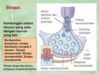 Bab 9 sistem koordinasi | PPT