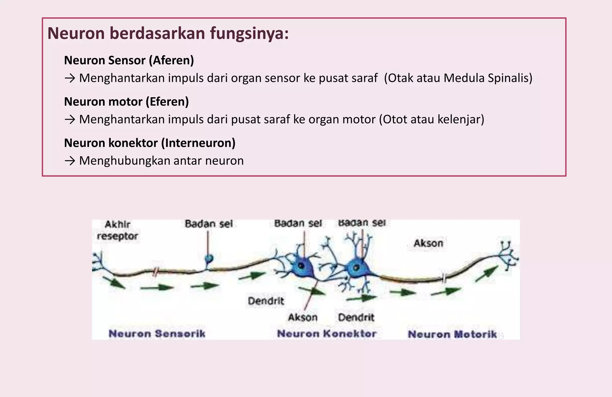 BAB 9 sistem koordinasi.pptx