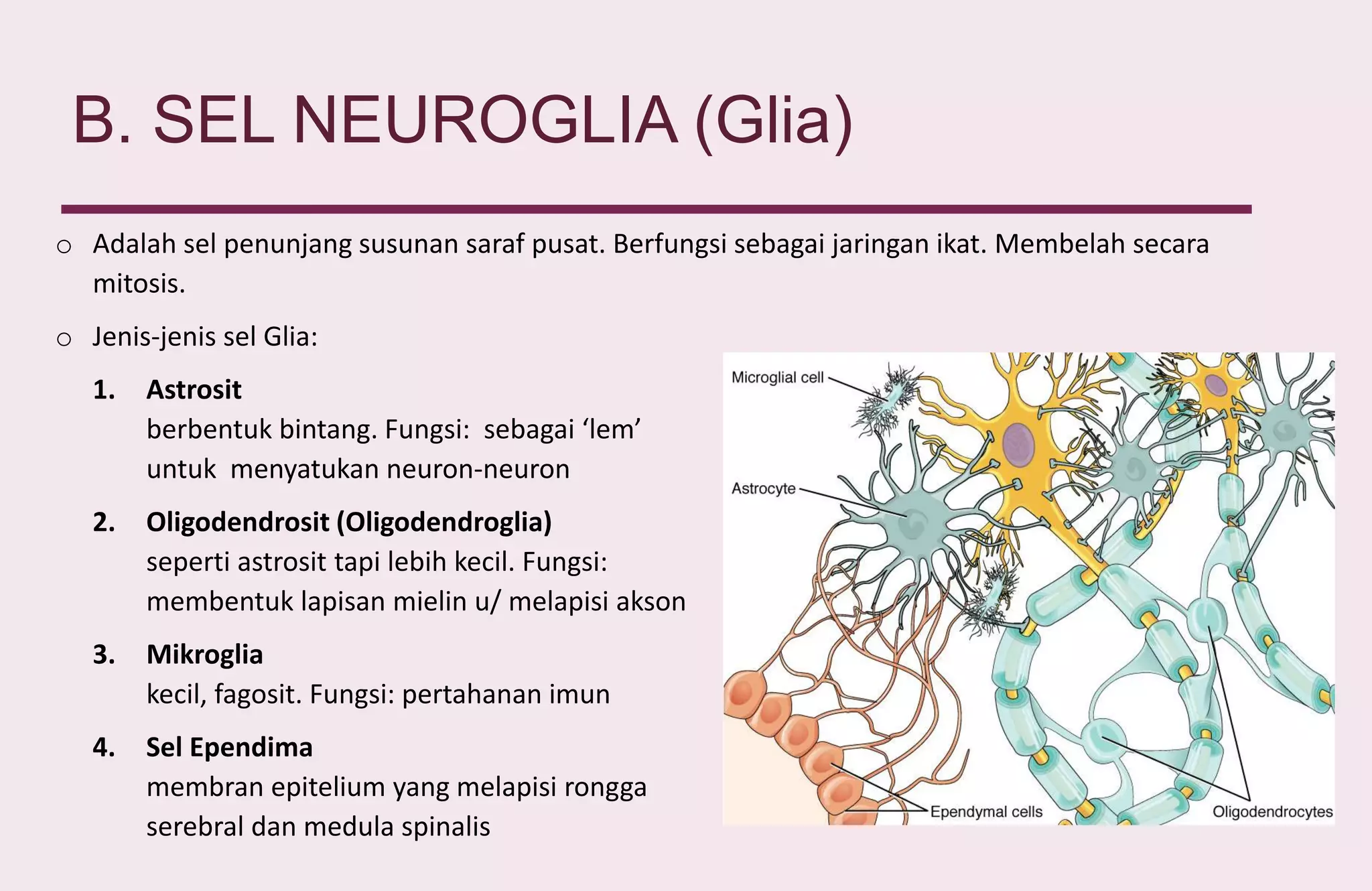 BAB 9 sistem koordinasi.pptx