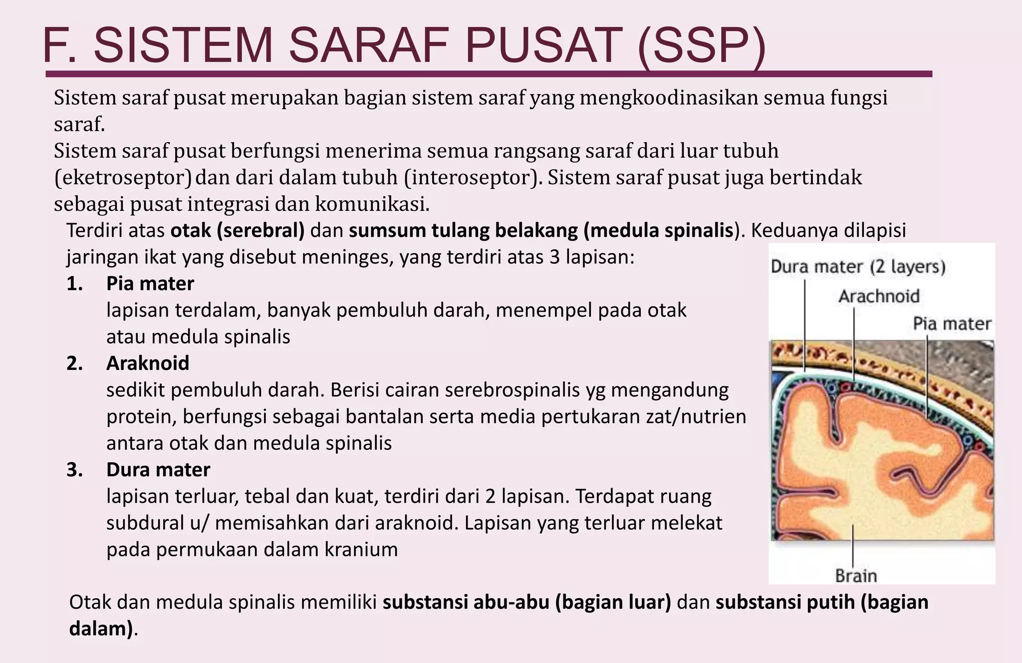 BAB 9 sistem koordinasi.pptx