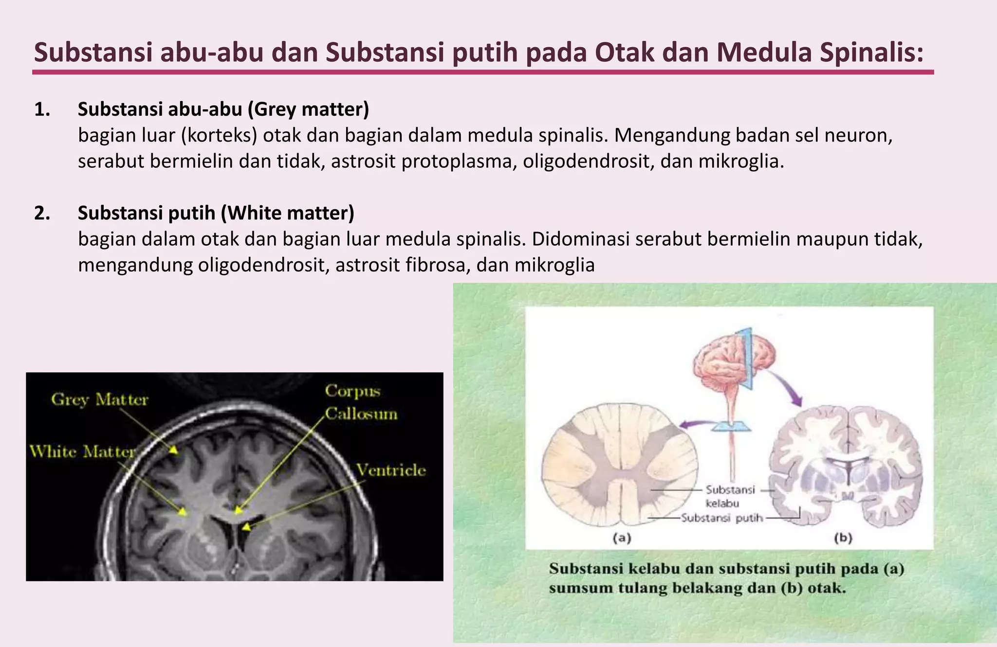 BAB 9 sistem koordinasi.pptx