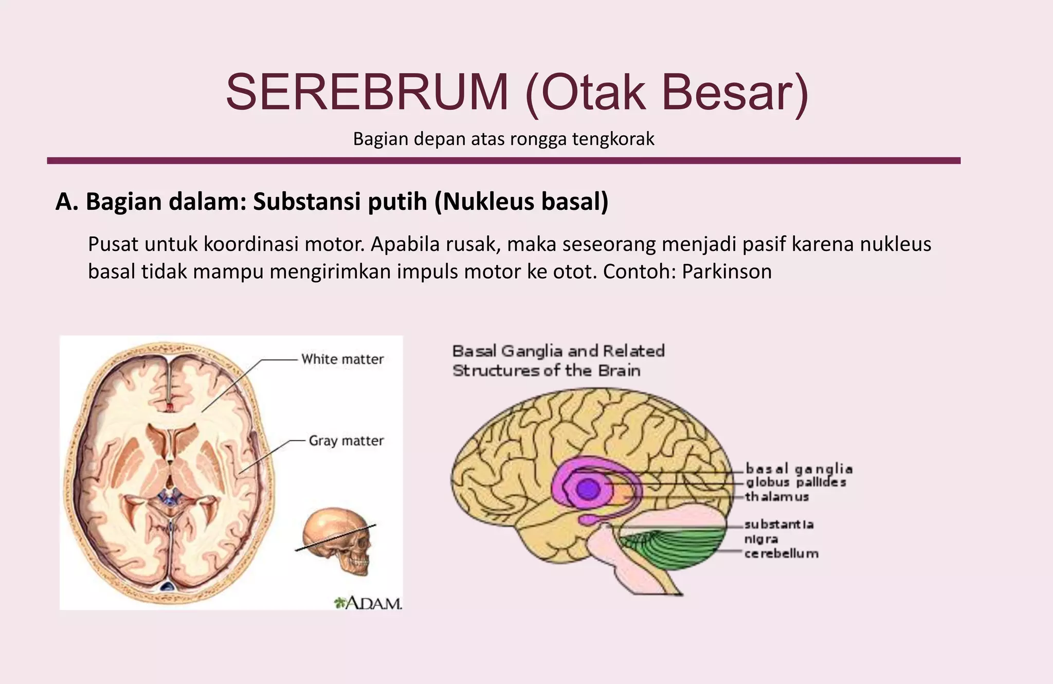 BAB 9 sistem koordinasi.pptx