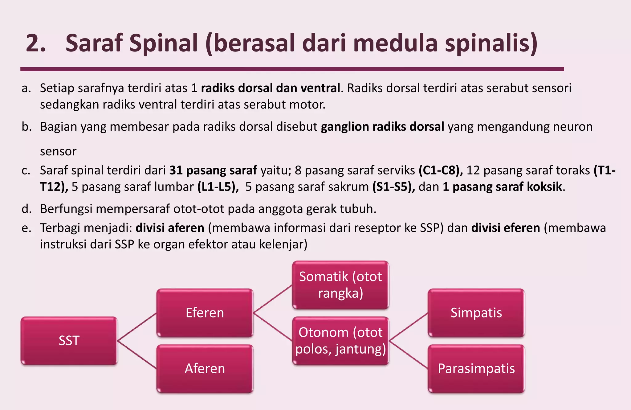 BAB 9 sistem koordinasi.pptx
