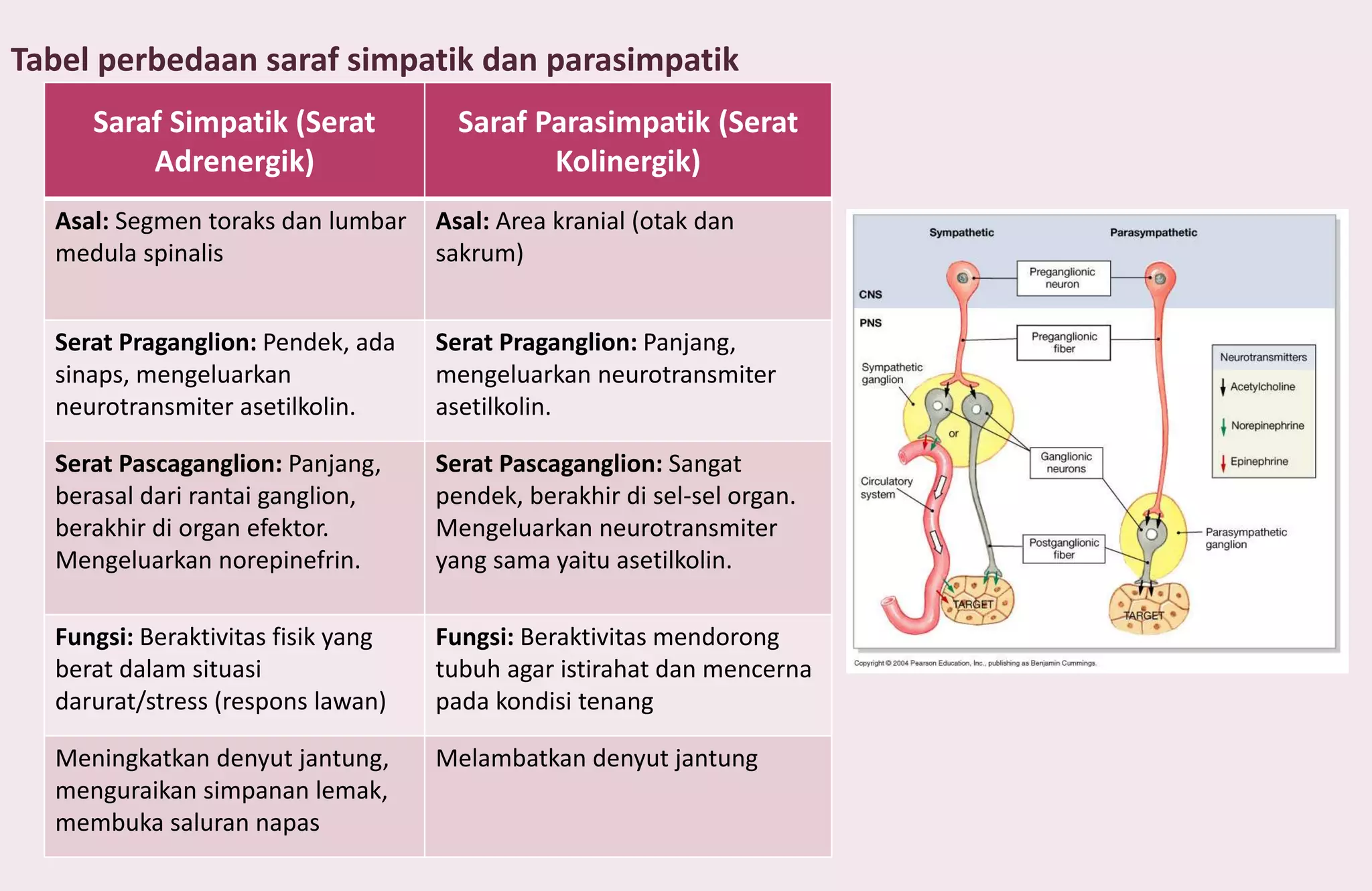BAB 9 sistem koordinasi.pptx