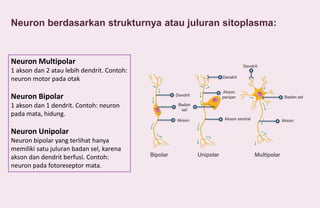 BAB 9 sistem koordinasi.pptx
