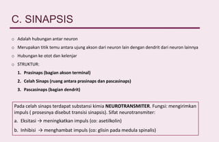 BAB 9 sistem koordinasi.pptx