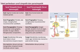 BAB 9 sistem koordinasi.pptx