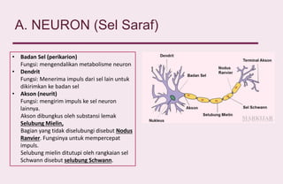 BAB 9 sistem koordinasi.pptx