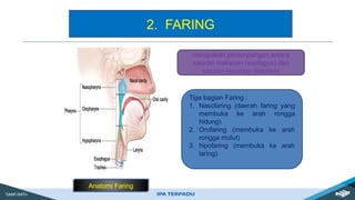 BAB 9 SISTEM PERNAPASAN PADA MANUSIA.pptx