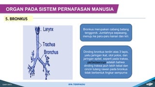 BAB 9 SISTEM PERNAPASAN PADA MANUSIA.pptx