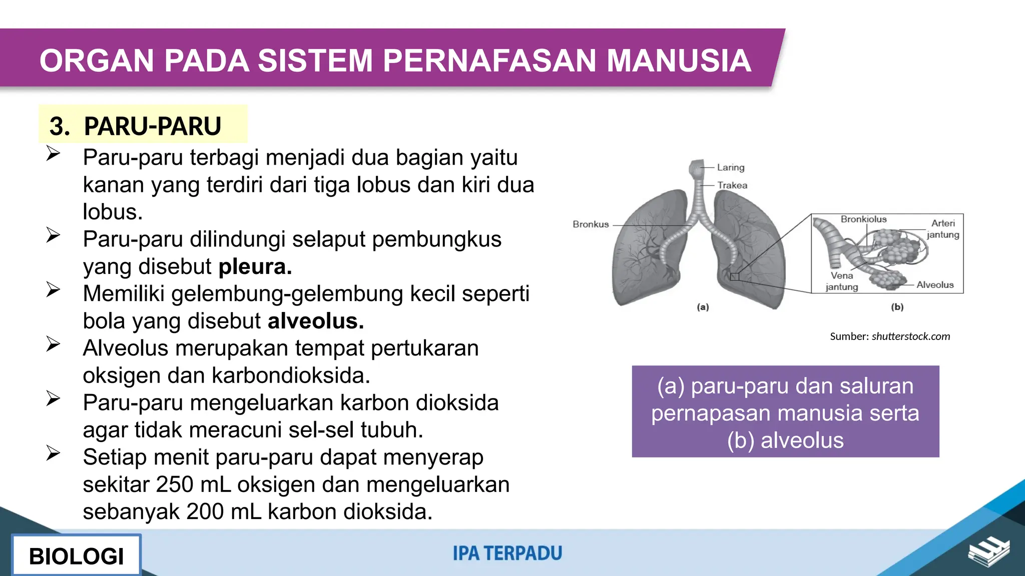 BAB 9 SISTEM PERNAPASAN PADA MANUSIA.txt.pptx
