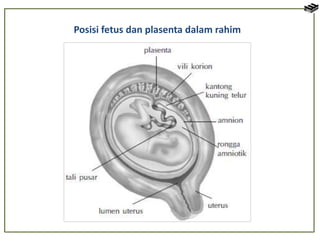 Bab 9 sistem reproduksi manusia | PPTX