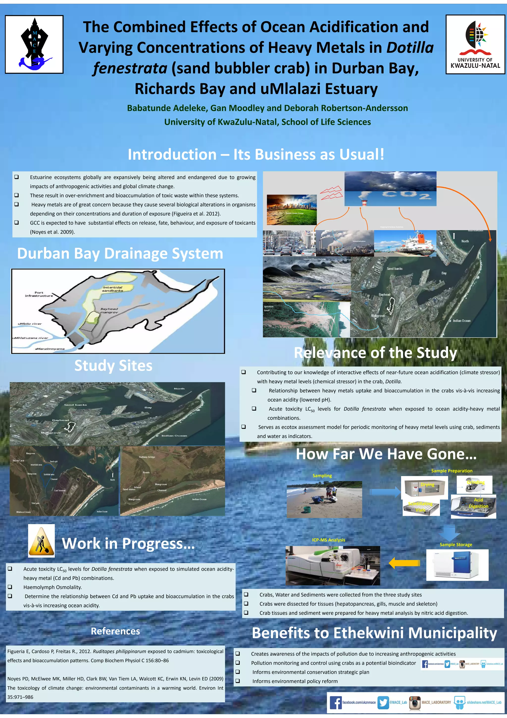 Crabs, heavy metals and near future ocean acidification - what do we know? | PDF