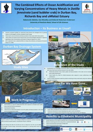 Crabs, heavy metals and near future ocean acidification - what do we ...