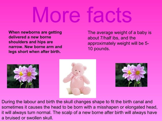 Babbies | PPT
