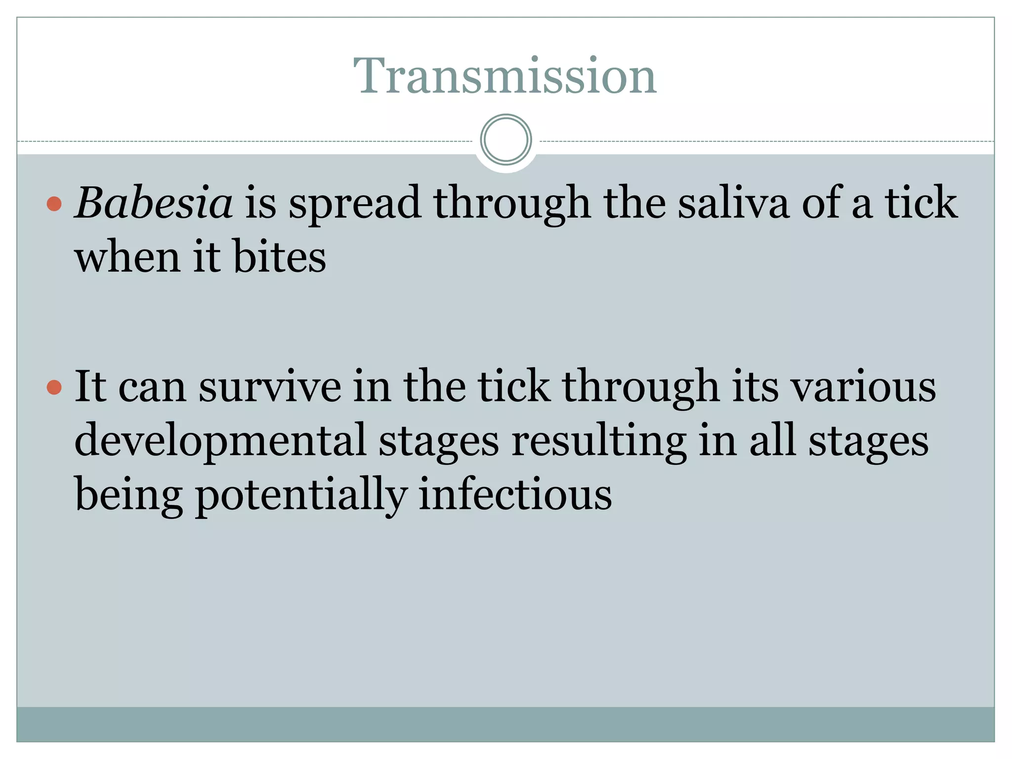 Babesia | PPT