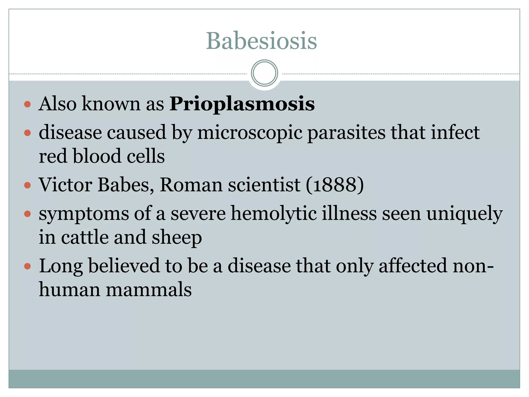 Babesia | PPTX