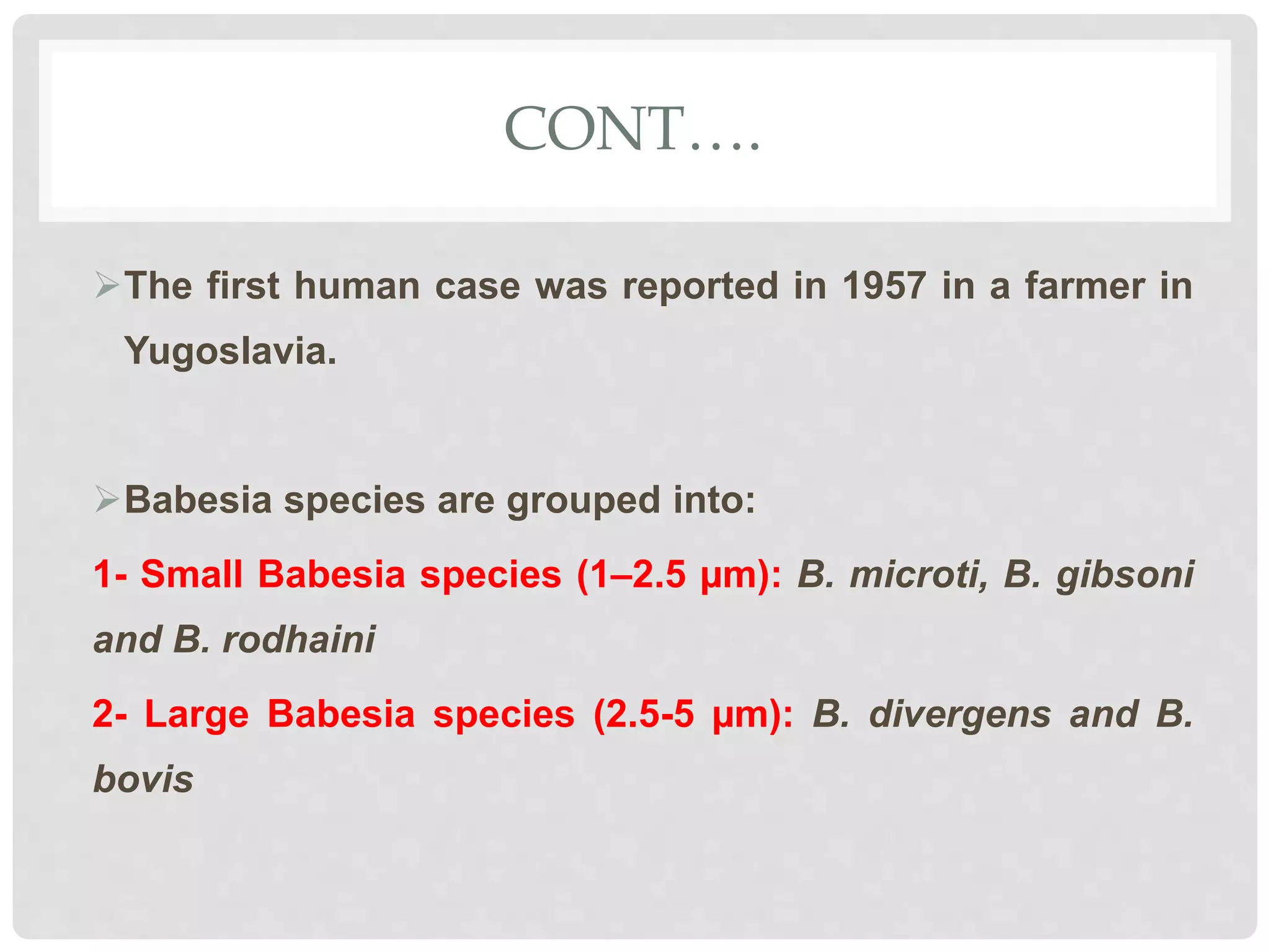 Babesia | PPTX