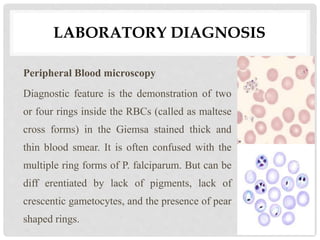 Babesia | PPTX