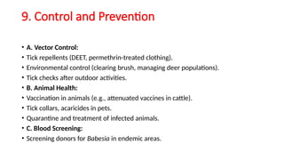 Babesia, Epidemiology, Life Cycle, Pathogenicity... | PPTX