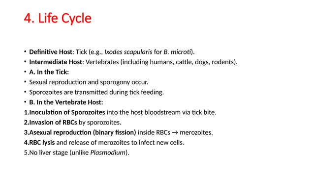 Babesia Epidemiology Life Cycle Pathogenicity Pptx