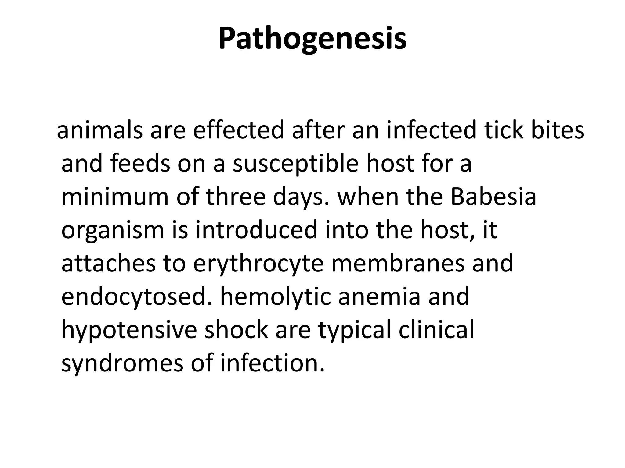 Babesiosis | PPTX