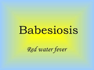 Babesiosis (2) | PPS | Infectious Diseases | Diseases and Conditions