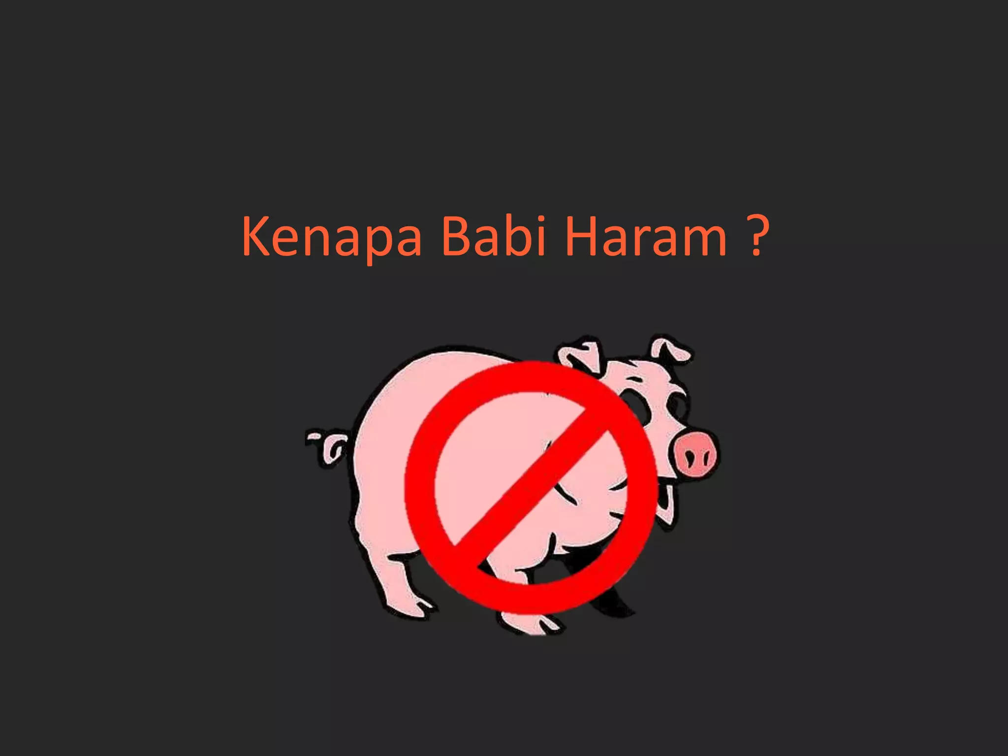 Power Point tentang Babi | PPTX