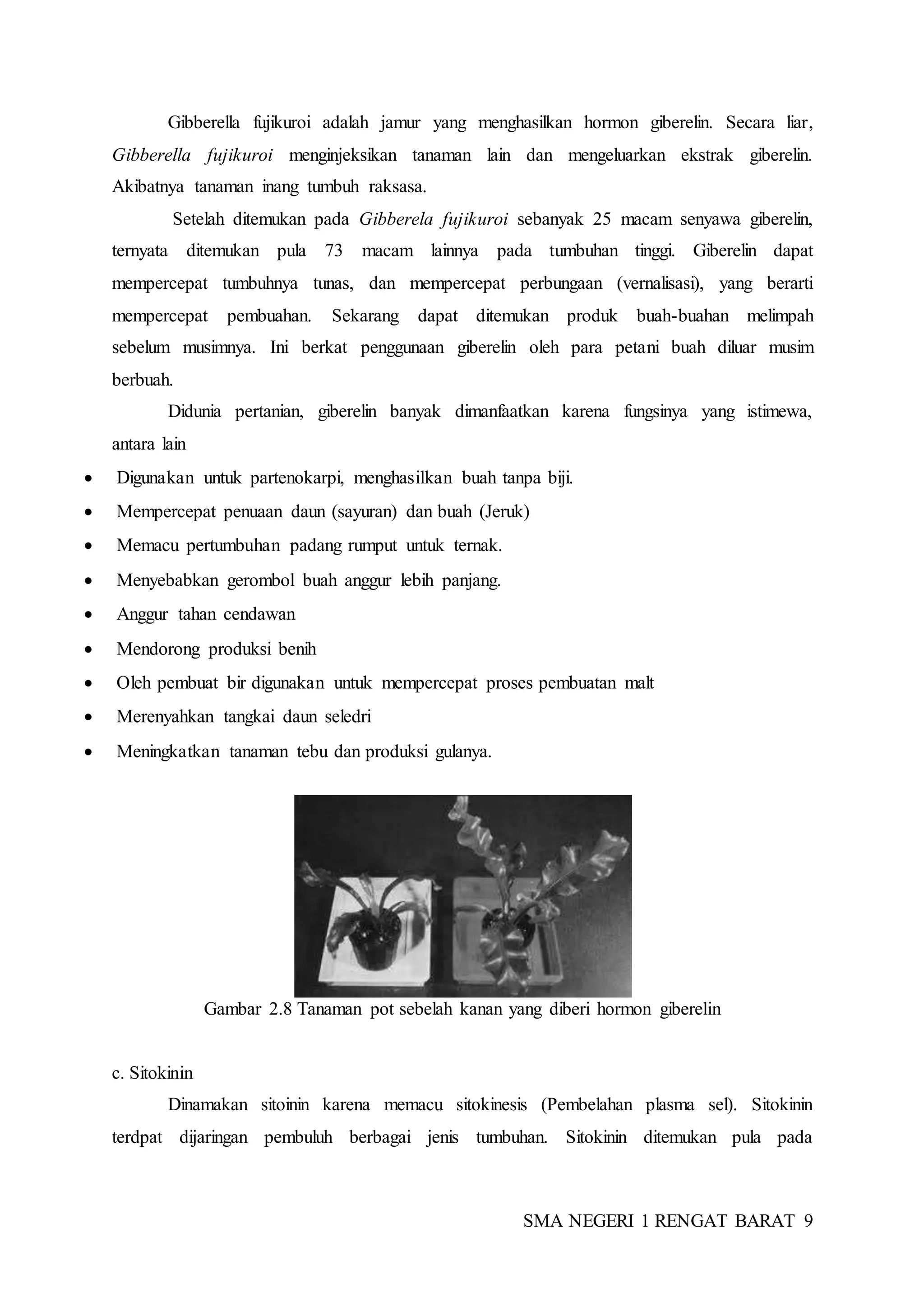 PRAKTIKUM BIOLOGI TIMUN | DOCX