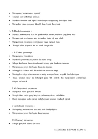 PRAKTIKUM BIOLOGI TIMUN | DOCX